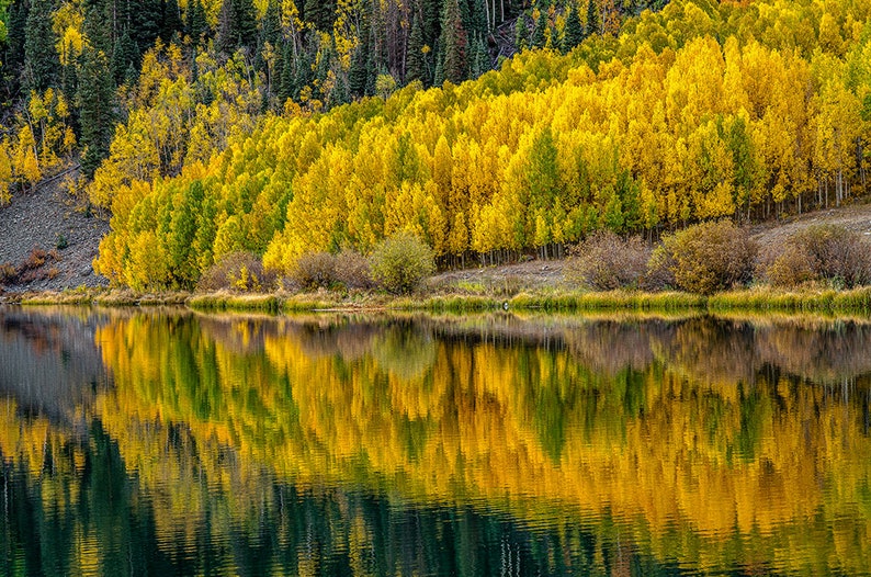 Fall Color Reflection Fine Art Photography - Etsy
