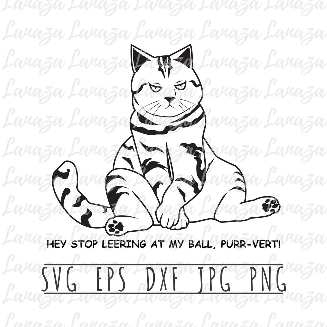 Cat SVG Annoyed Cat SVG Funny Cat - Etsy