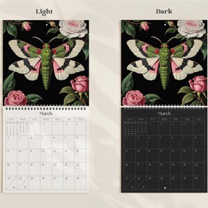 2025 Moth Wall Calendar Square Wall Calendar Illustrated 12 Month ...