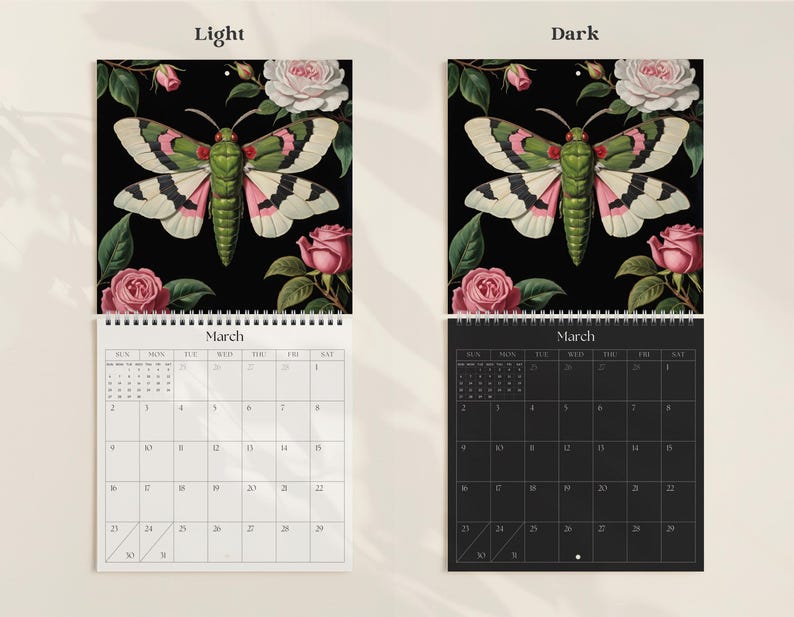 2025 Moth Wall Calendar Square Wall Calendar Illustrated 12 Month ...