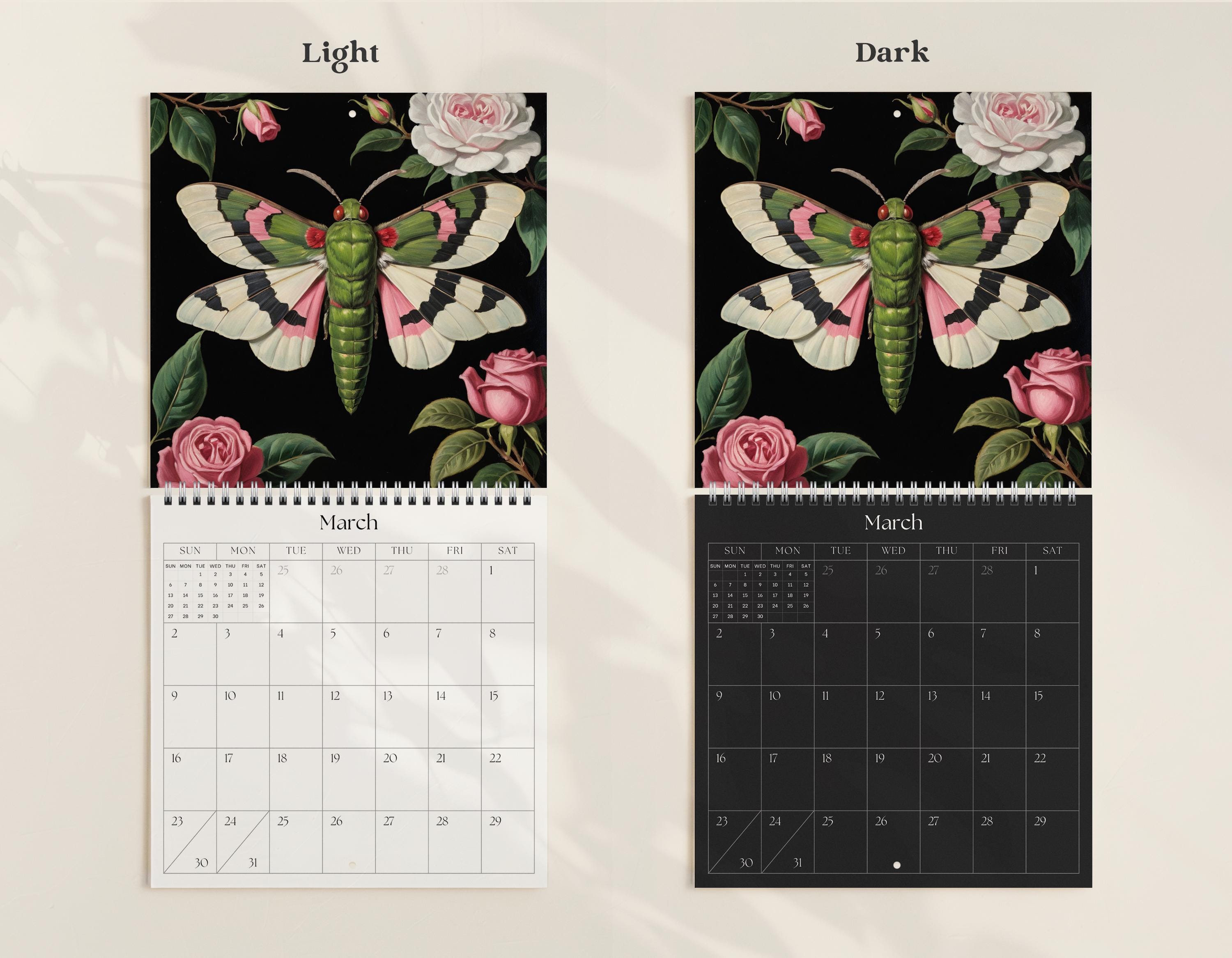 2025 Moth Wall Calendar Square Wall Calendar Illustrated 12 Month ...