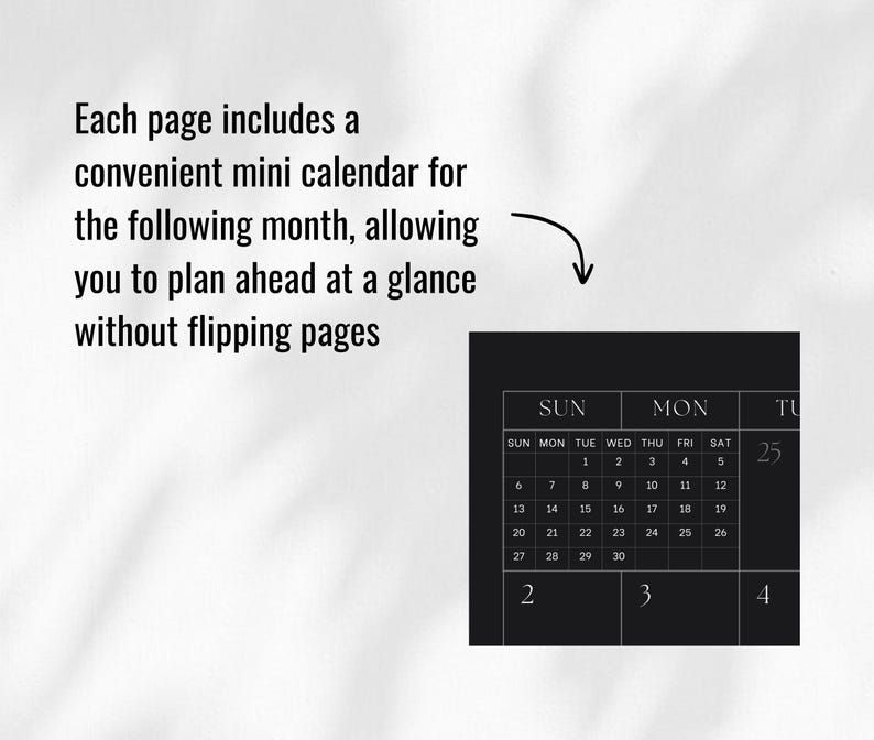 2025 Moth Wall Calendar Square Wall Calendar Illustrated 12 Month ...