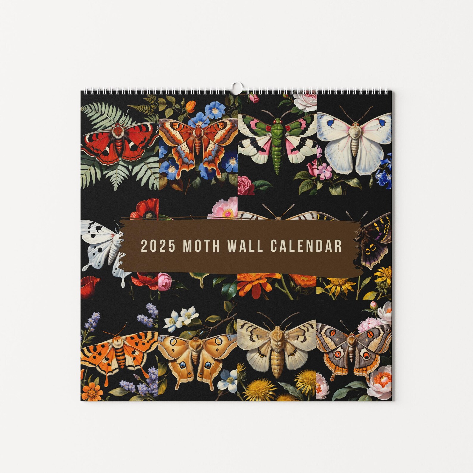 2025 Moth Wall Calendar Square Wall Calendar Illustrated 12 Month ...