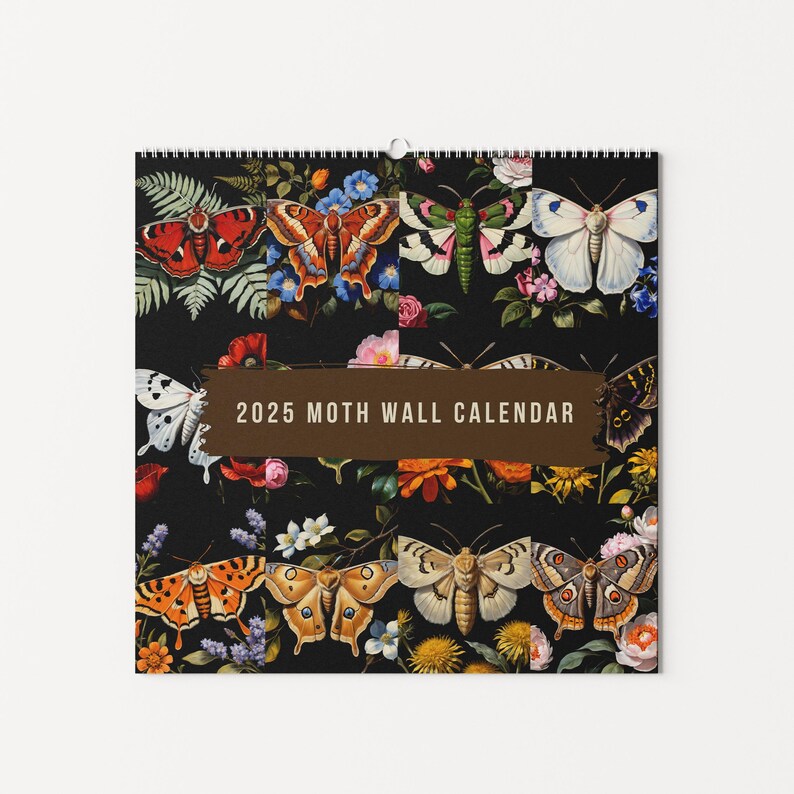2025 Moth Wall Calendar Square Wall Calendar Illustrated 12 Month ...