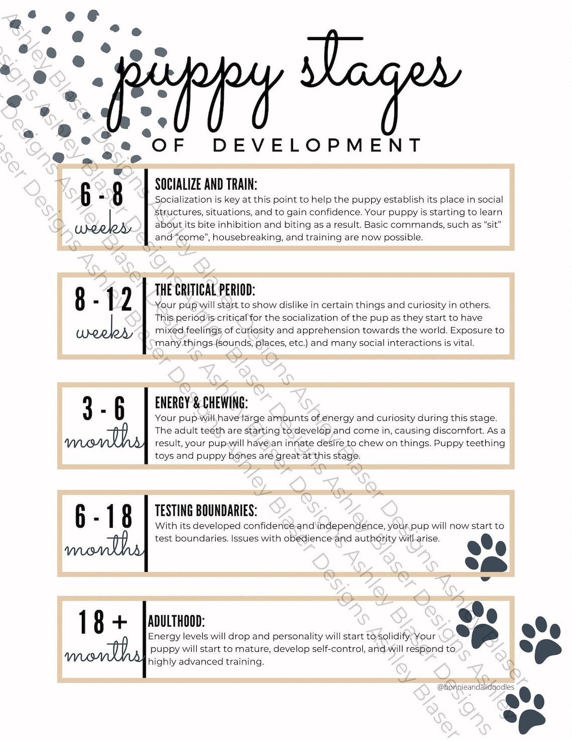 Puppy Stages of Development Handout - Etsy