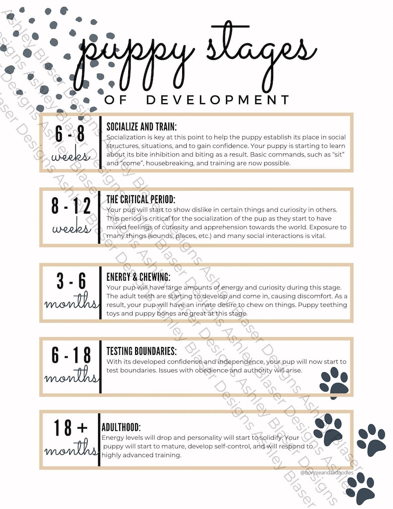 Puppy Stages of Development Handout - Etsy