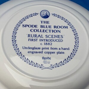 Spode Blue Room Collection 7 Plates - Etsy