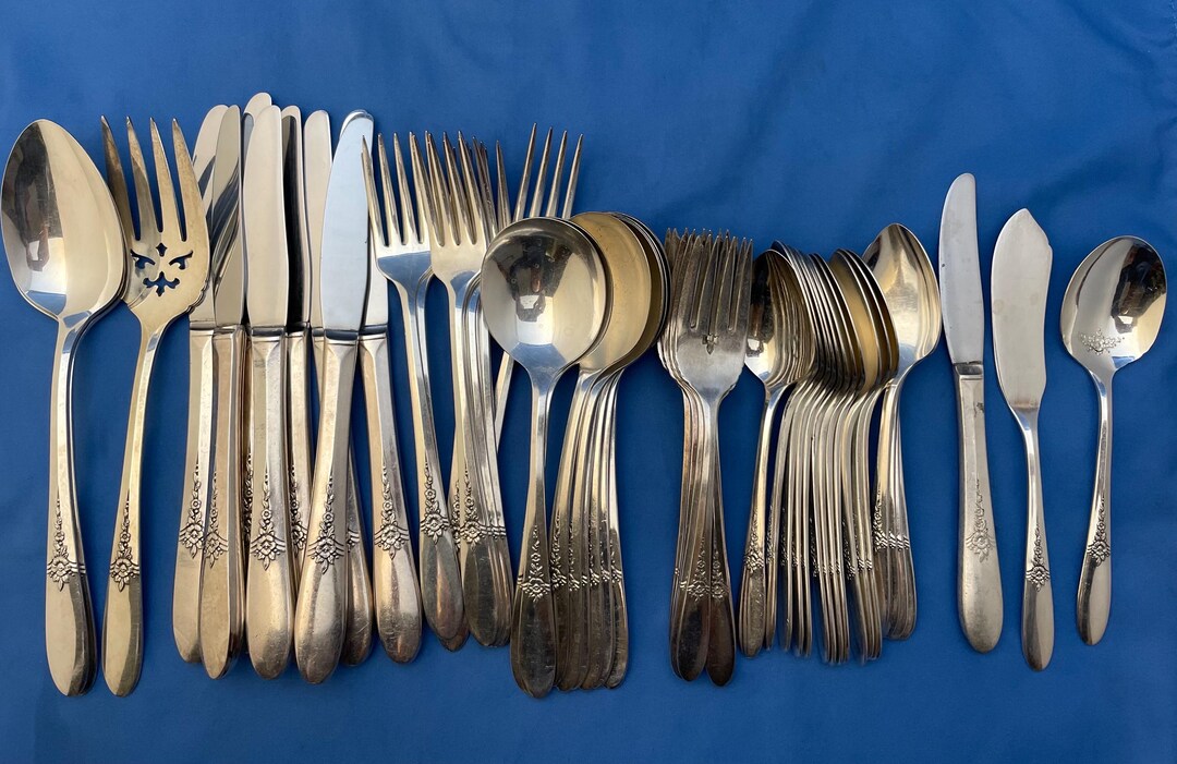 Tudor Oneida Community Fantasy Silver Plated 46 Piece Flatware Set - Etsy
