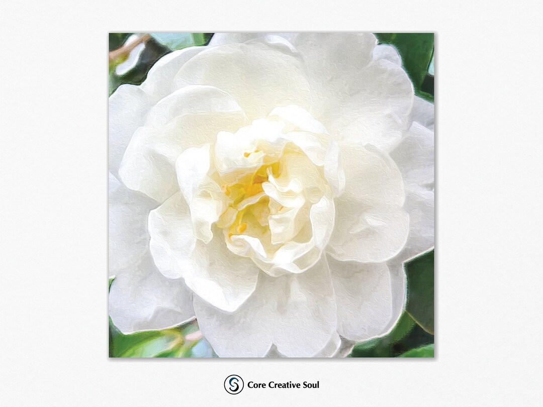 Sasanqua, Flower, Wall Décor, Canvas Wrap Print - Etsy