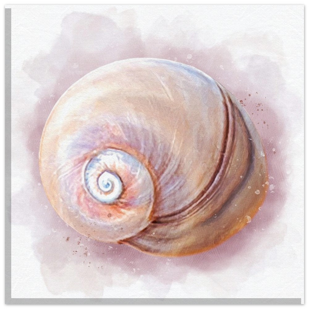 Sea Snail, Wall Décor, Canvas Wrap Print - Etsy