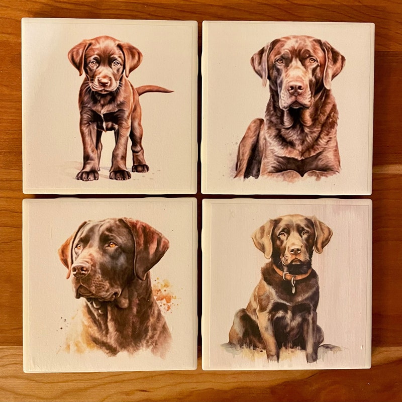 Chocolate Labrador - Etsy