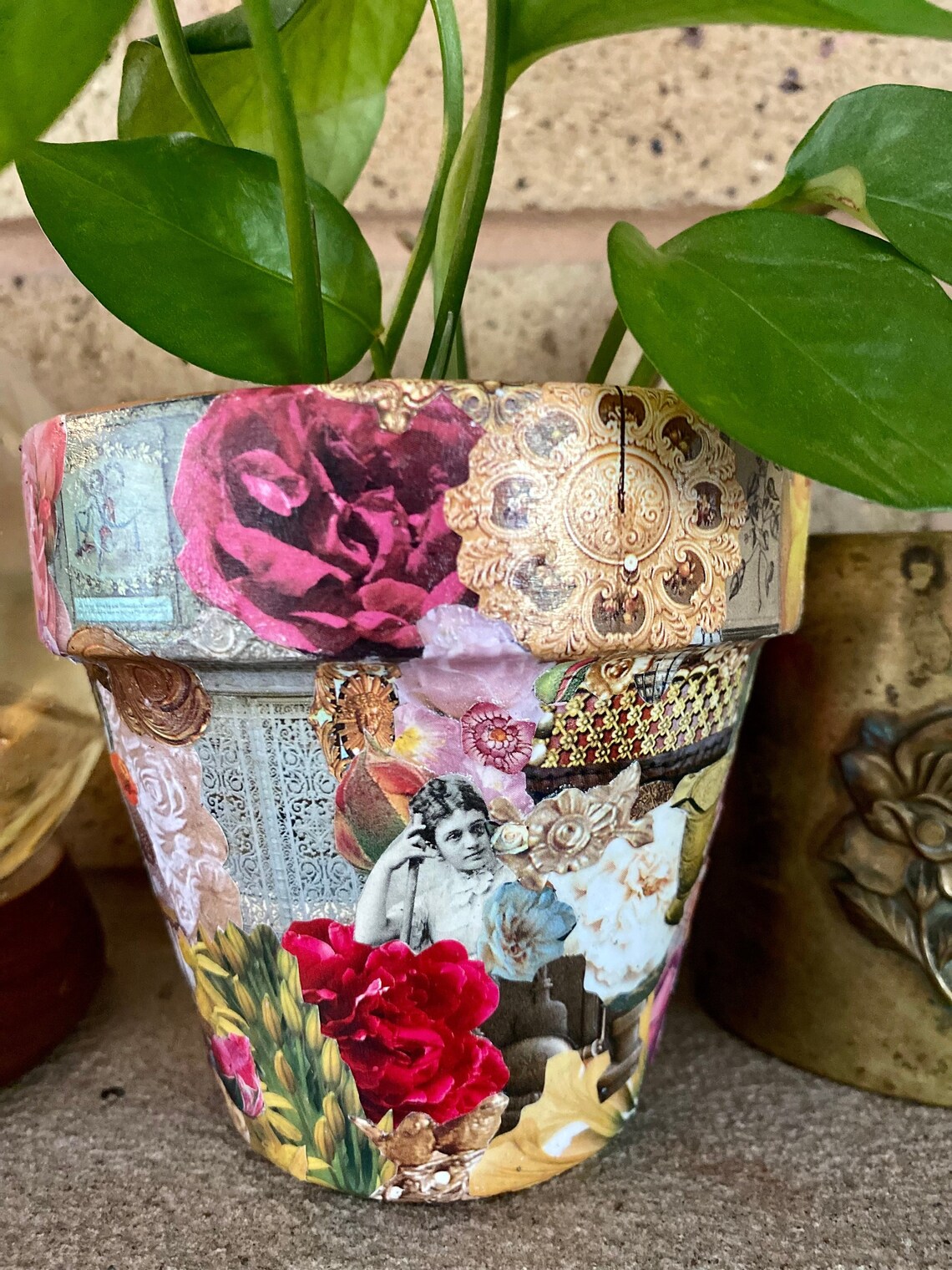 Charming Roses and Antiques Houseplant Terra Cotta Pot a - Etsy