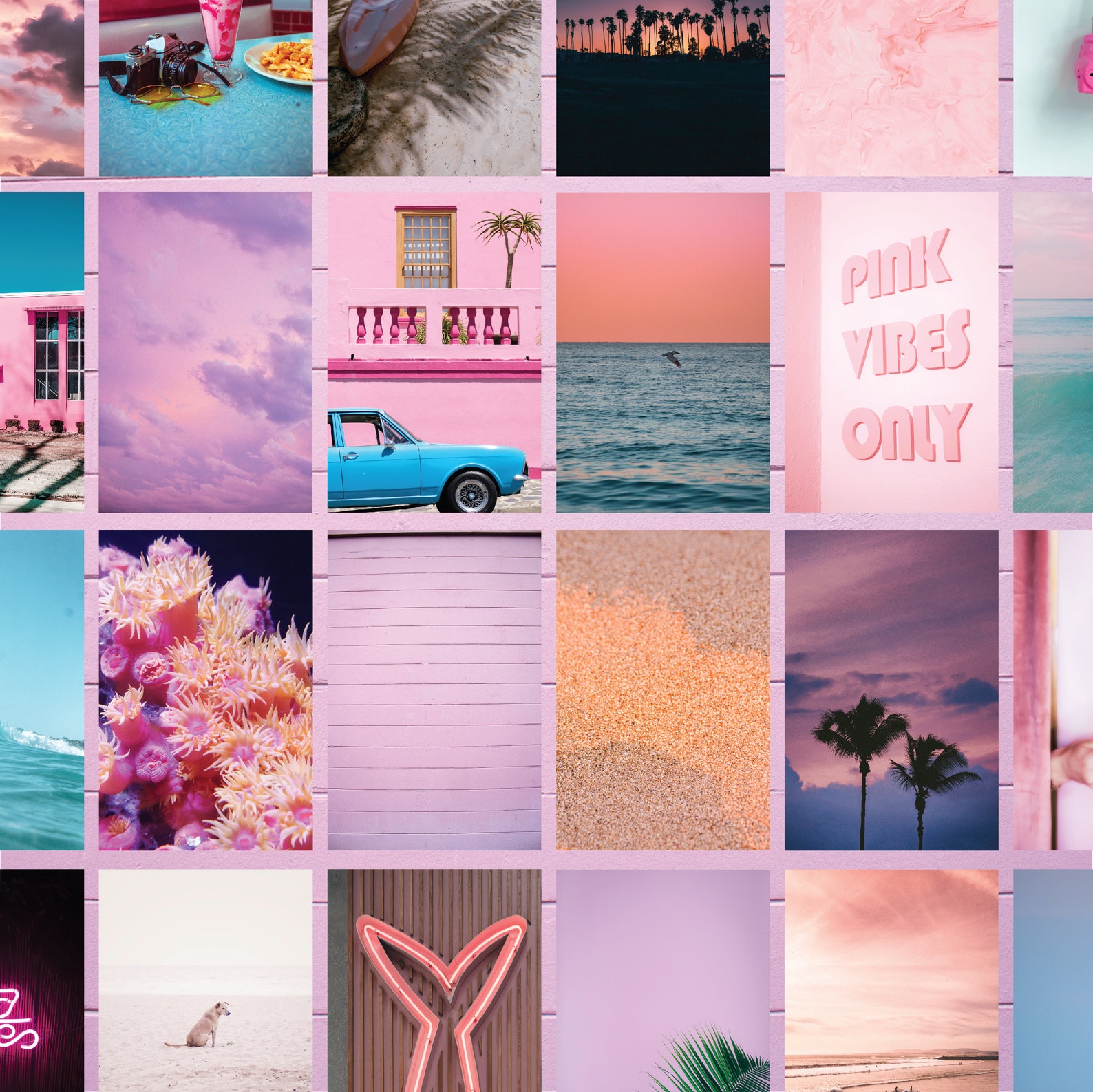 INSTANT DOWNLOAD Palm Pink SET of 60 Photo Prints in 4x6 Blush Pink ...