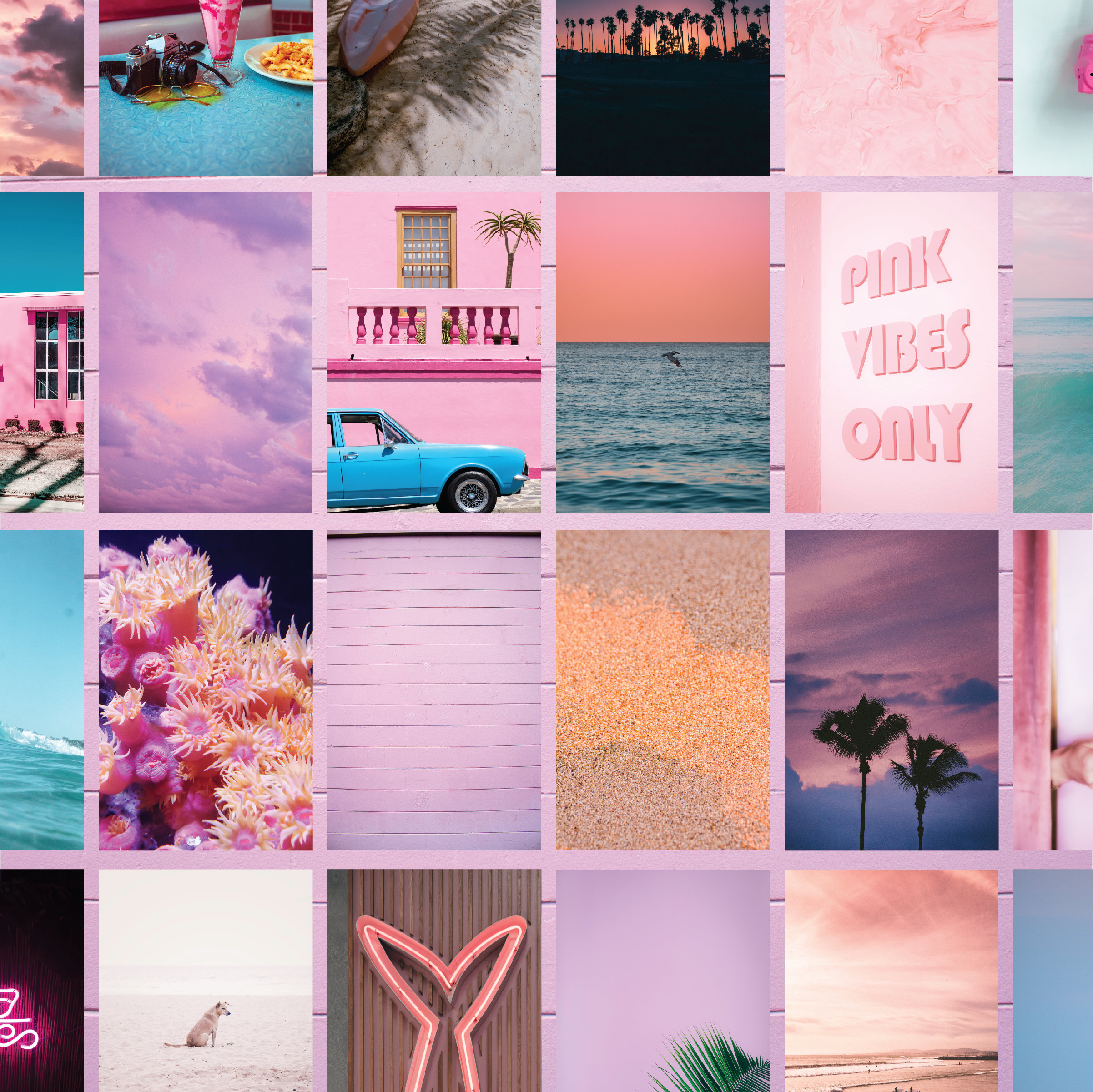 INSTANT DOWNLOAD Palm Pink SET of 60 Photo Prints in 4x6 Blush Pink ...