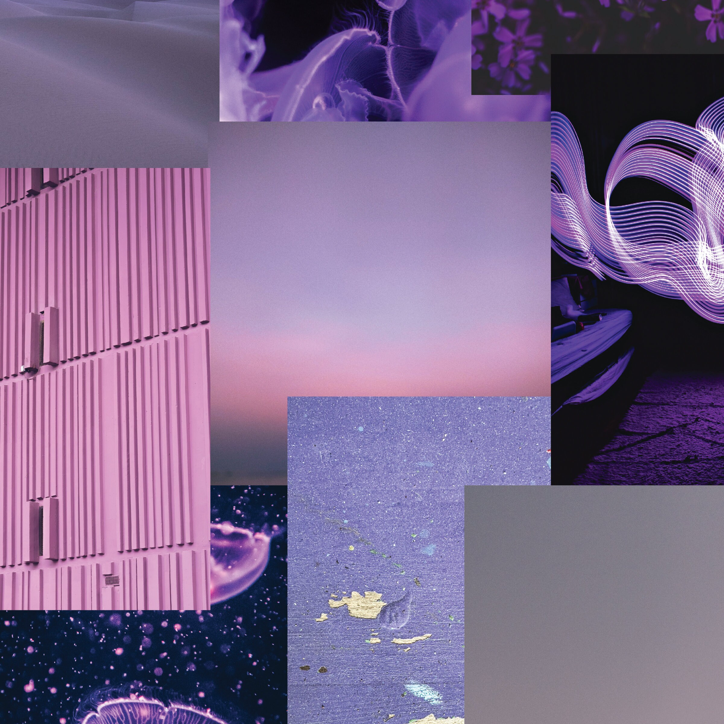 INSTANT DOWNLOAD Palm Purple SET of 60 Photo Prints, Purple Pastel Wall ...