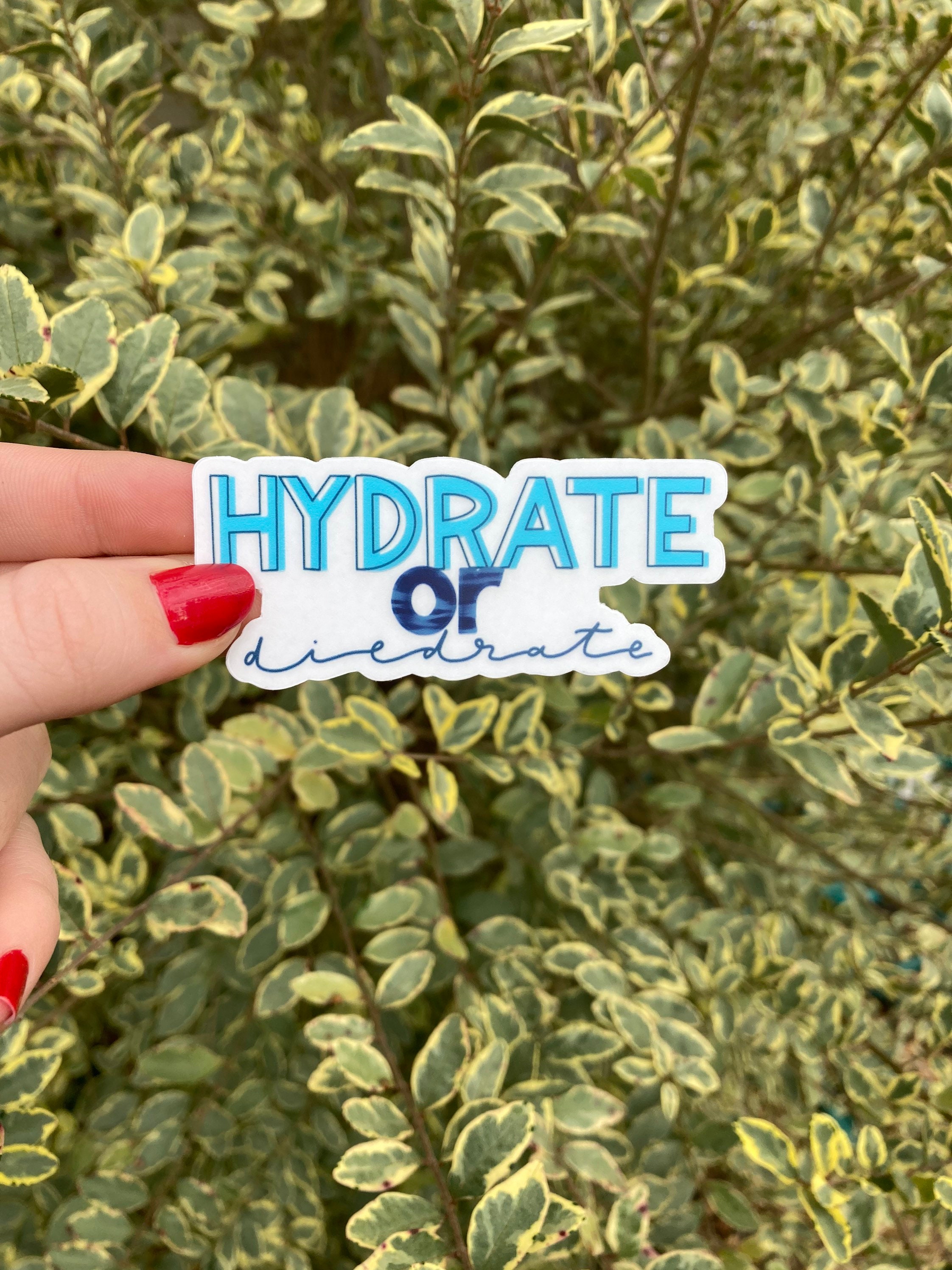 Hydrate or diedrate clear die cut sticker Stickers, Labels & Tags ...
