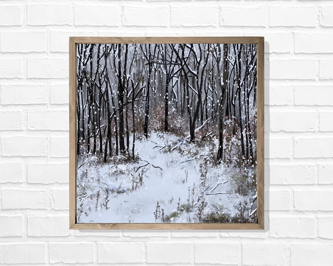 Walk in the Woods, Winter Trail, Stroll, Snowy Forest, Snow Trail ...