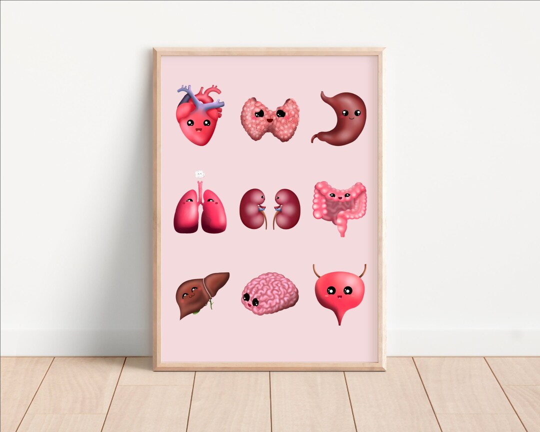 Cute Anatomy Organs Art Print | Kids Doctor Gift - Etsy