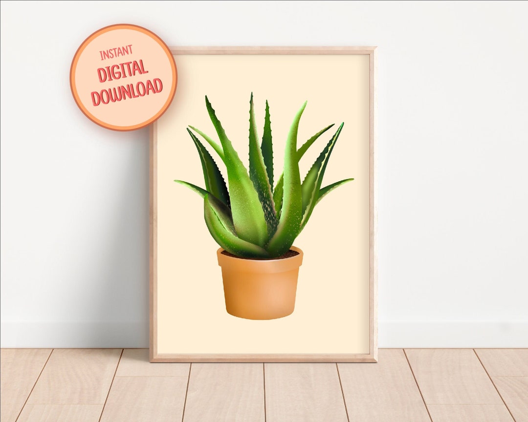 Botanical Aloe Vera Plant Poster: Minimalist Home Decor (digital ...