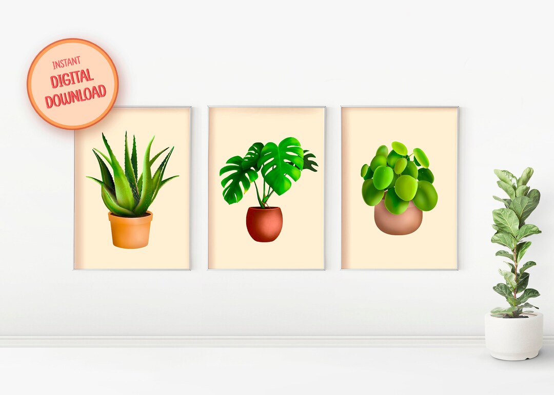 PRINTABLE Set of 3 Botanical Prints Plant Wall Art Home Decor for Plant ...