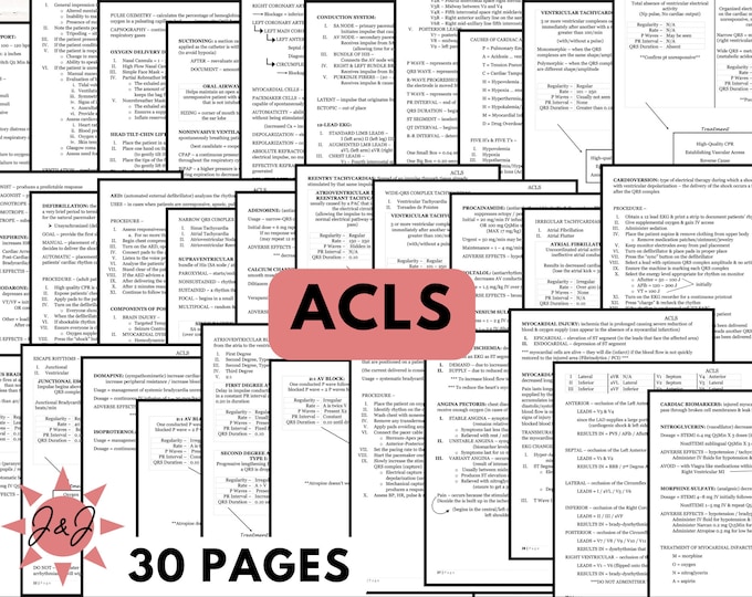 2024 ACLS Nurse Notes, Made by an ICU Nurse. American Heart Association ...
