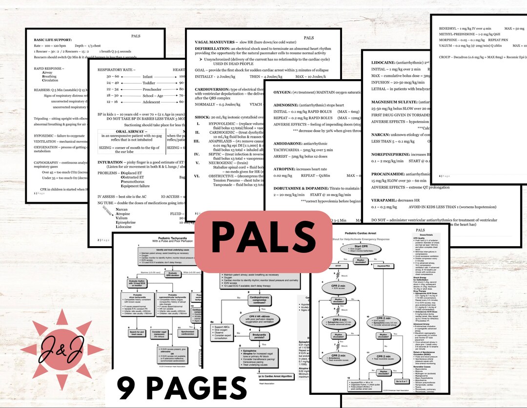 2024 PALS Nurse Notes, Made by an ICU Nurse. PALS Meds, Standards of ...