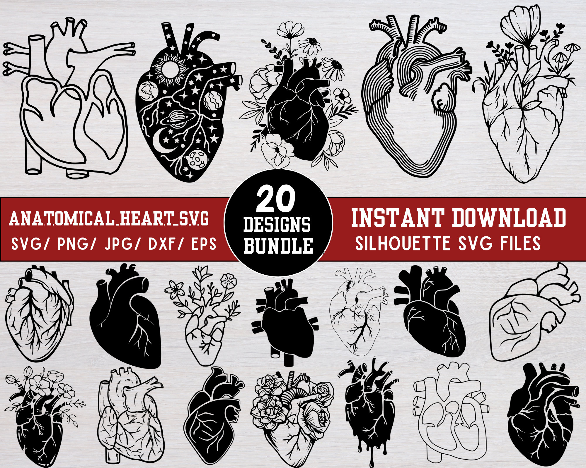 Anatomical Heart Svg Bundle, Anatomical Heart Svg, Human Heart Svg ...