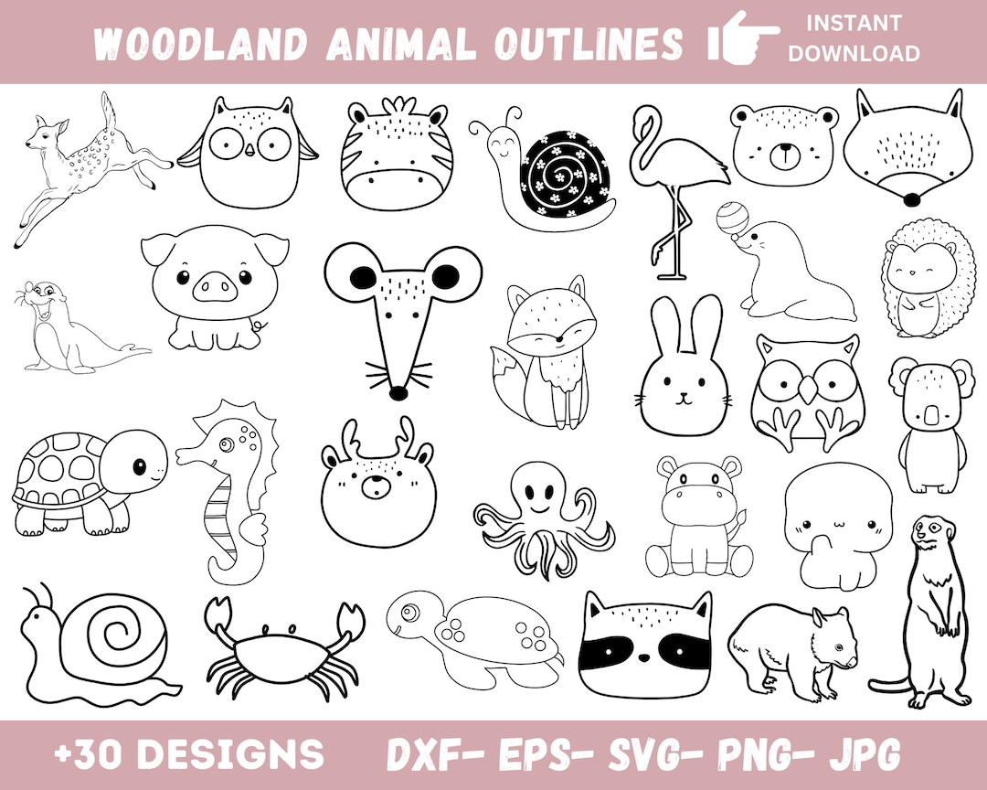 Woodland Animal Outline Svg Bundle, Coloring Png, Animal Clipart ...