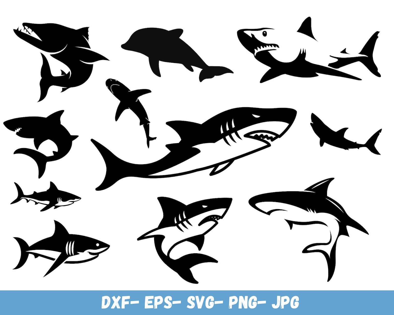 2024 Shark Svg Bundle, Shark Png, Sharks Svg, Cute Shark Svg, Shark ...