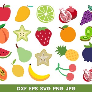 Fruit Svg Bundle, Fruit Png, Tropical Fruit Svg, Fruit Vector Files ...