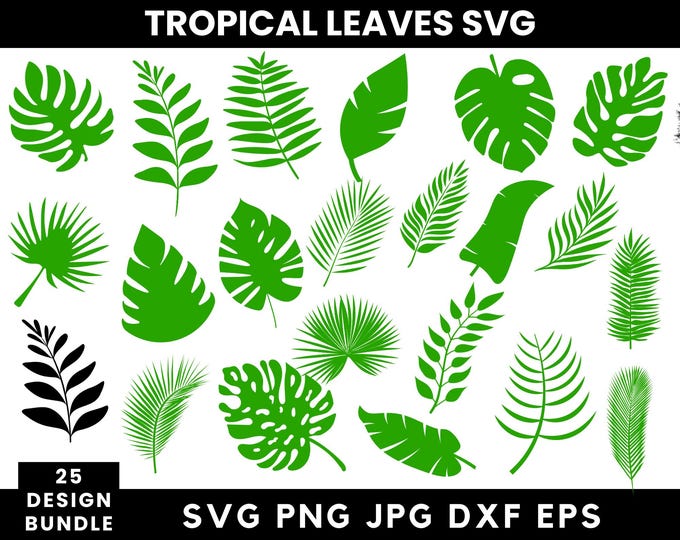 Tropical Leaves SVG Bundle, Tropical Leaf Svg, Jungle Leaves Svg, Palm Leaf Svg, Eps, Dxf, Ai ...