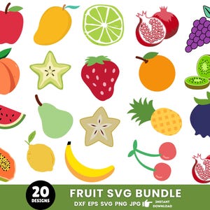 Fruit Svg Bundle, Fruit Png, Tropical Fruit Svg, Fruit Vector Files ...