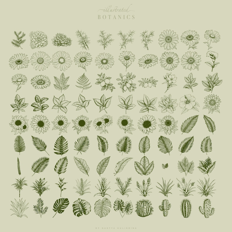 SVG BUNDLE: 300 Botanical Designs / Botanical Vector Designs Bundle ...