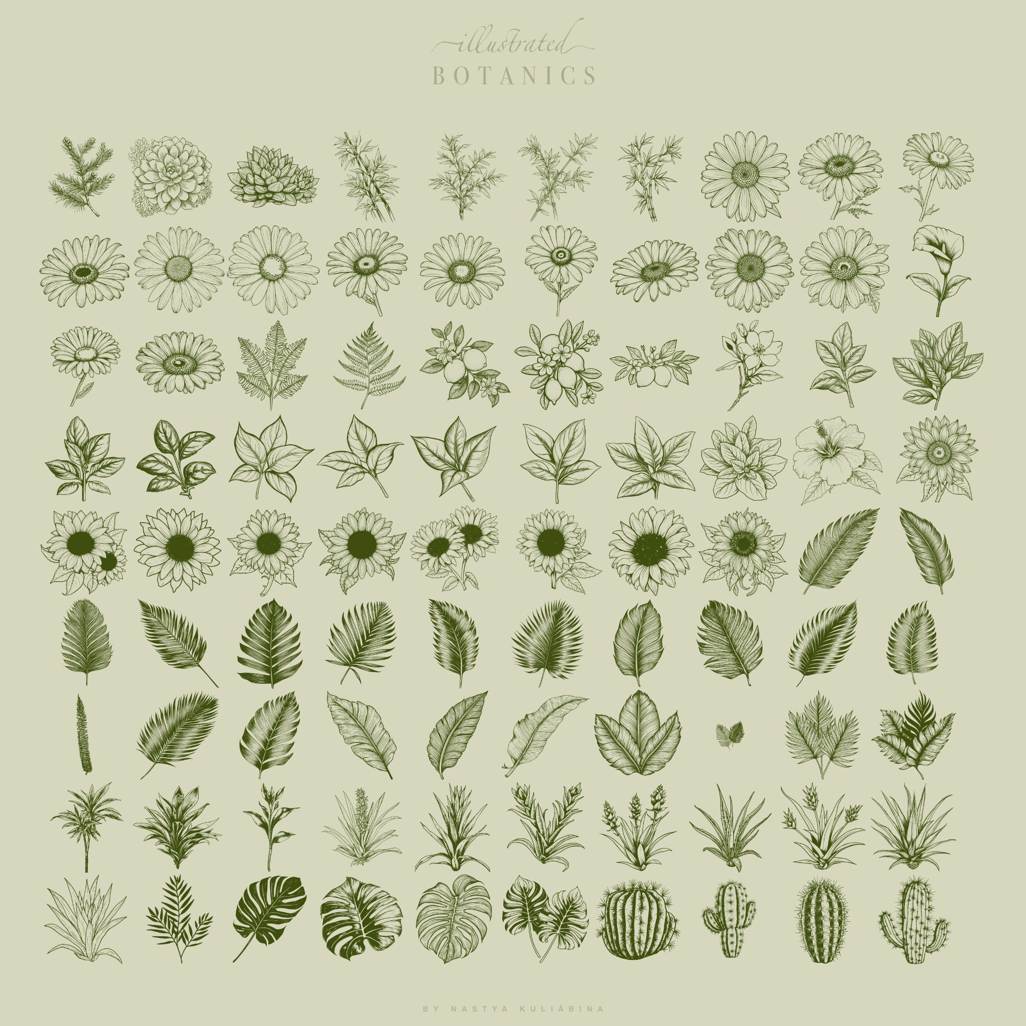 SVG BUNDLE: 300 Botanical Designs / Botanical Vector Designs Bundle ...