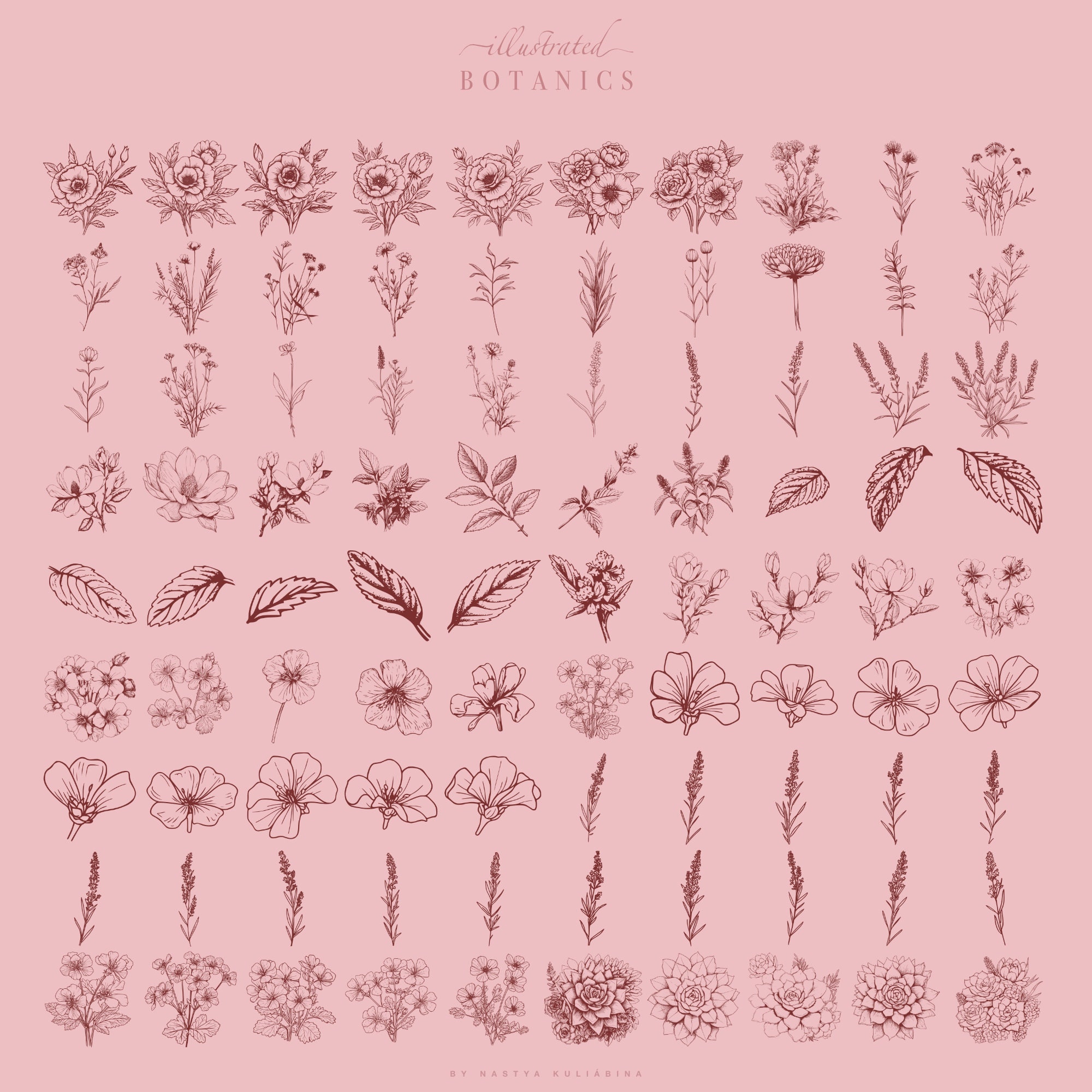 SVG BUNDLE: 300 Botanical Designs / Botanical Vector Designs Bundle ...