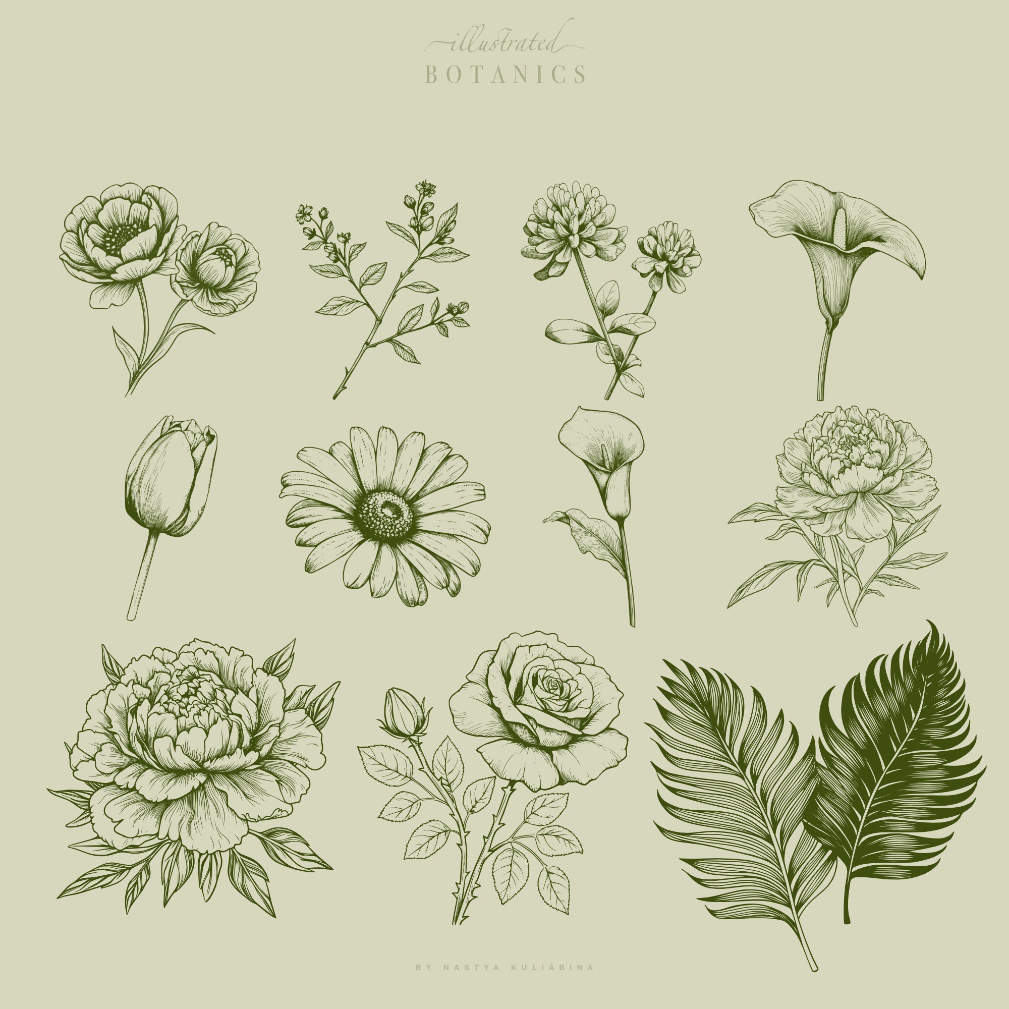 SVG BUNDLE: 300 Botanical Designs / Botanical Vector Designs Bundle ...