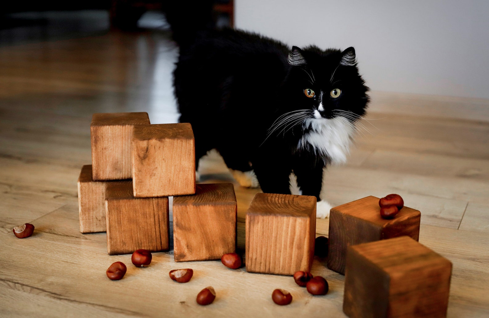 Set of Four 4 Wooden Blocks 3,5' 9x9x9 Cm Pine, Wooden, Unfinished ...