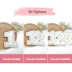 DIY Sweater Number Handembroidery Stick and Stitch Kids First Birthday ...