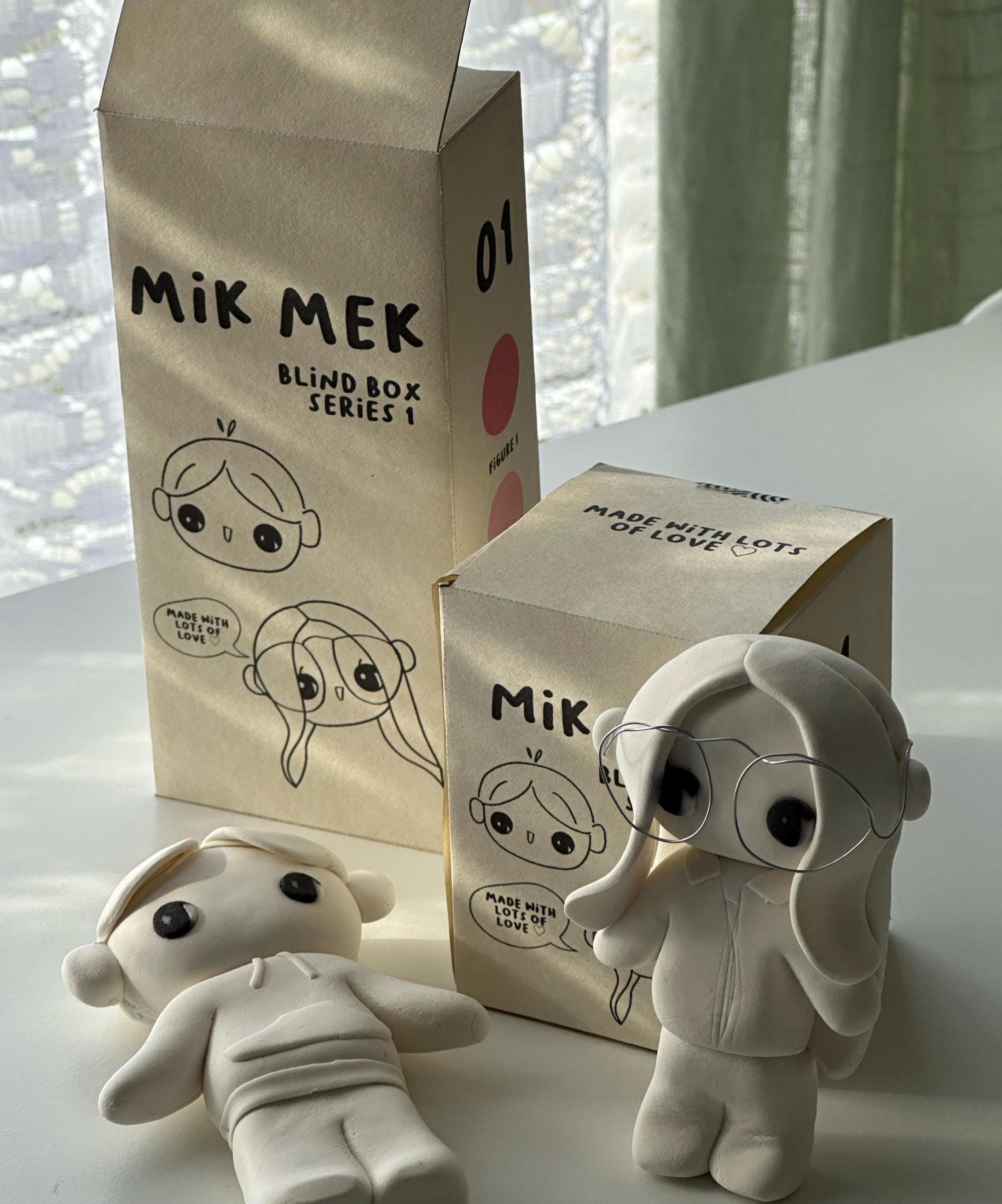 Printable DIY Blind Box Template | Personalized Gift - Etsy