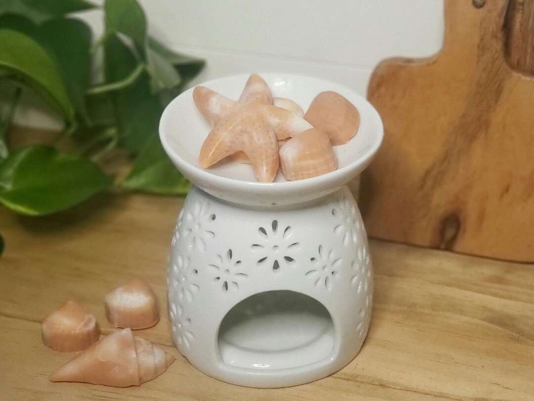 Coastal Shells Wax Melts | Shaped Realistic Wax Melts | Highly Scented ...