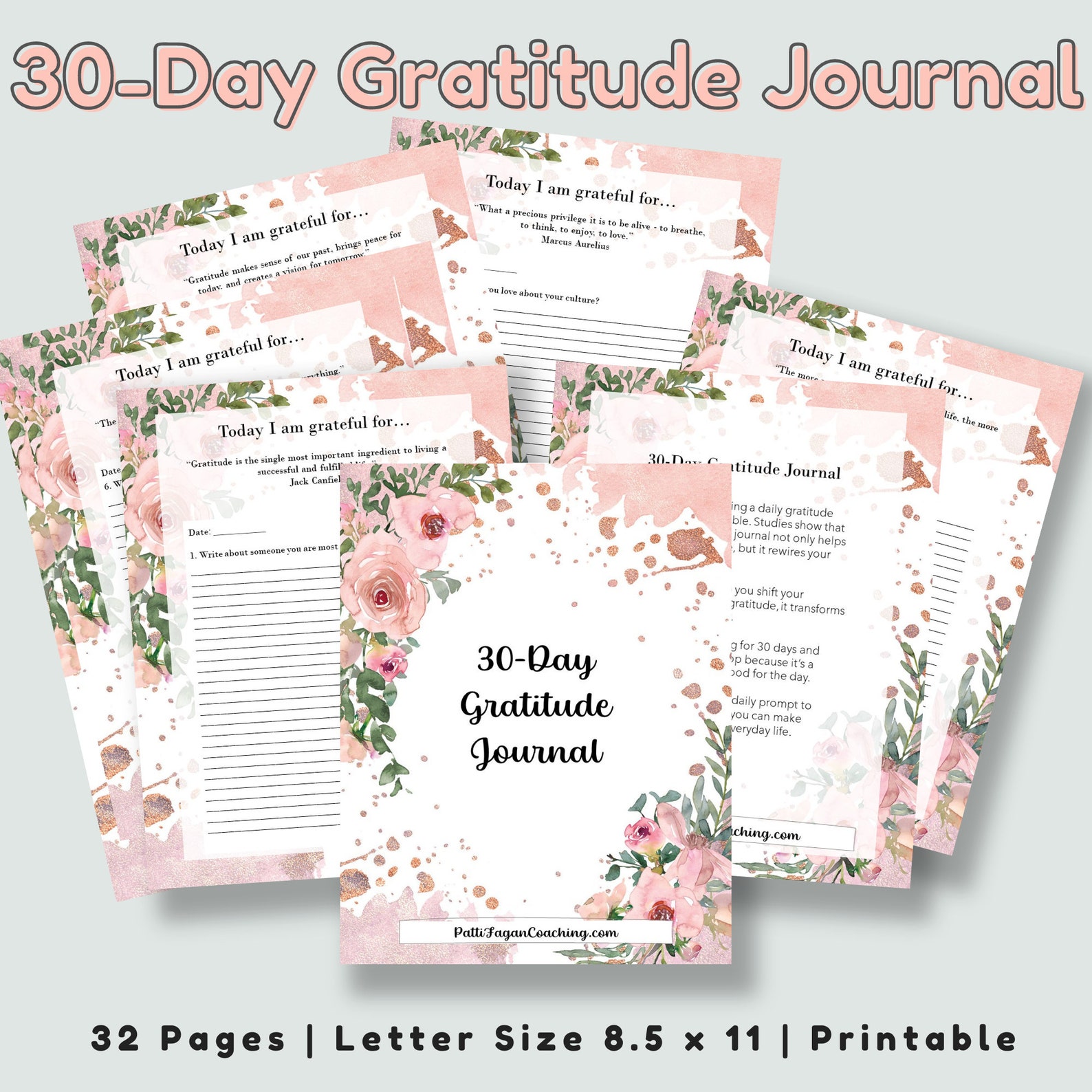 30-day Gratitude Journal Journaling Prompts Gratitude Journal Prompts ...