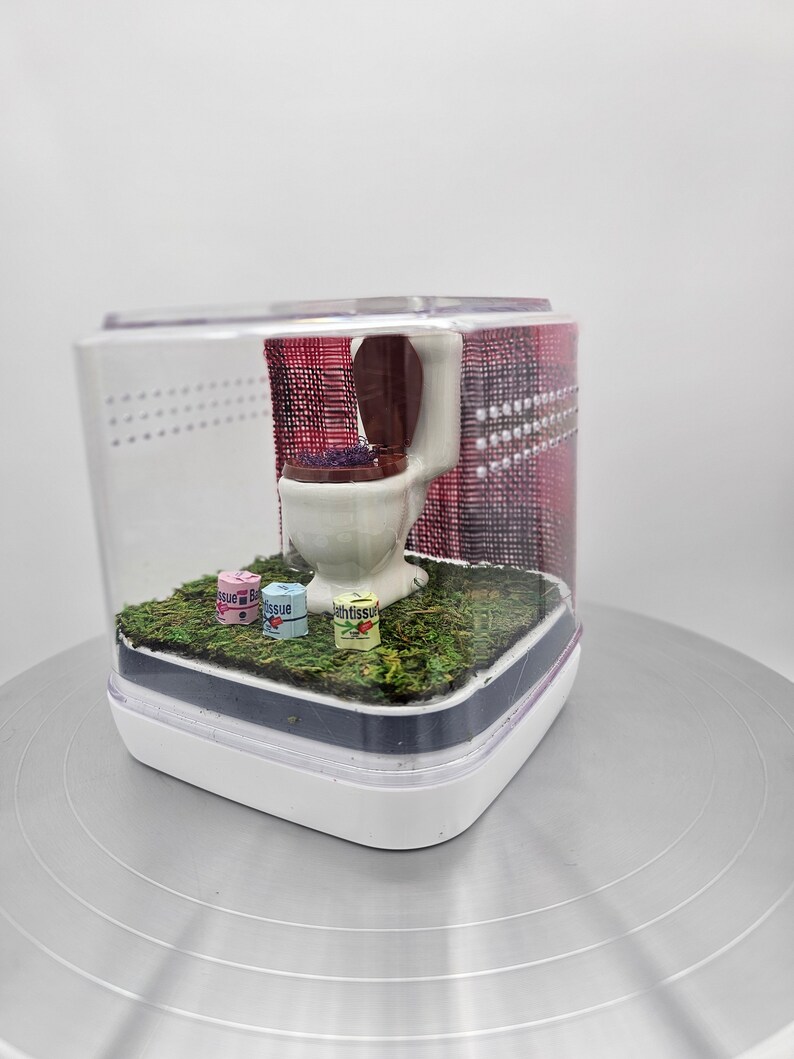 Jumping Spider Enclosure Toilet - Etsy