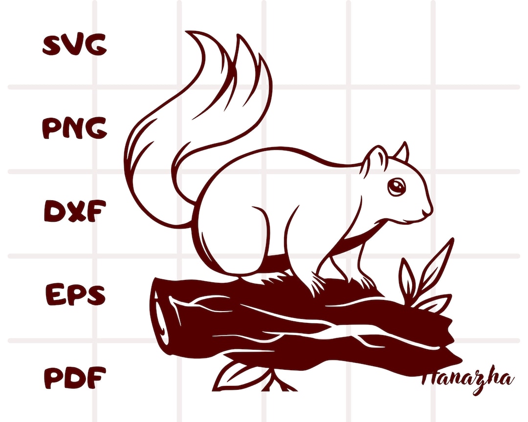 Squirrel SVG, Floral Squirrel SVG, Squirrel Vector, Squirrel With ...