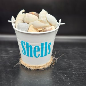 Mini Beach Bucket of Shells Decor for Tiered Trays Beach Bucket Decor ...