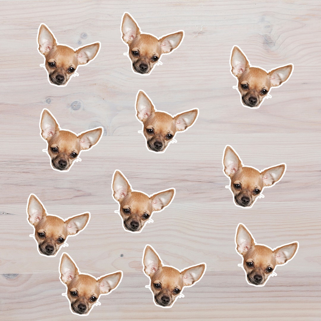 Custom Animal Confetti Personalized Face Confetti, Party Photo Confetti ...