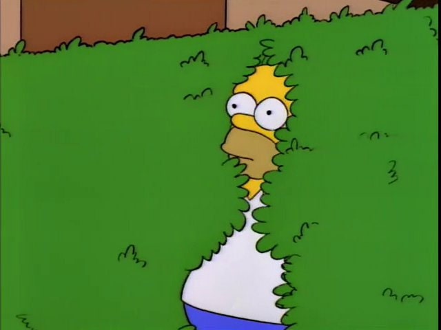 DIGITAL Simpsons A3 Poster - Simpsons Wall Art - Homer in the Bushes ...