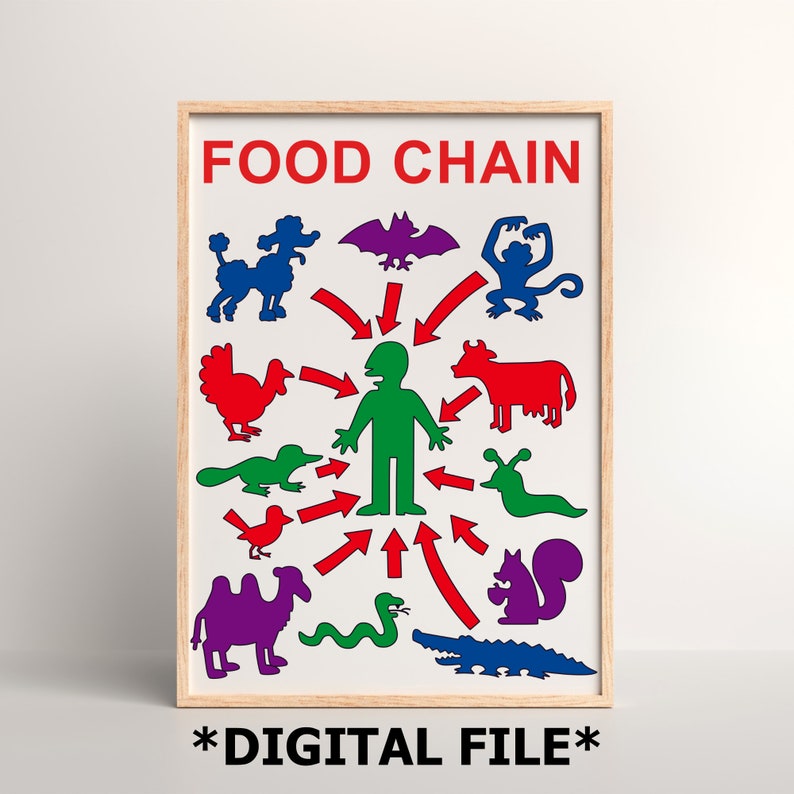 DIGITAL Simpsons A3 Poster - Simpsons Wall Art - Food Chain (unframed ...