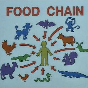 DIGITAL Simpsons A3 Poster - Simpsons Wall Art - Food Chain (unframed ...