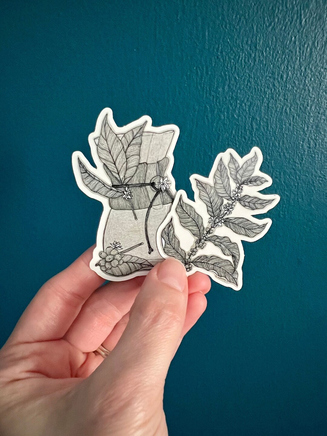 Coffee Vinyl Sticker Set, Coffee Plant, Chemex, Gift for Coffee Lovers ...