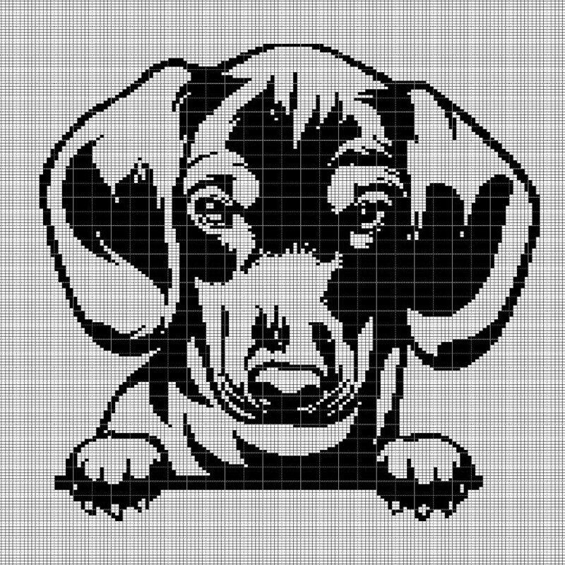 Predator Crochet - Etsy